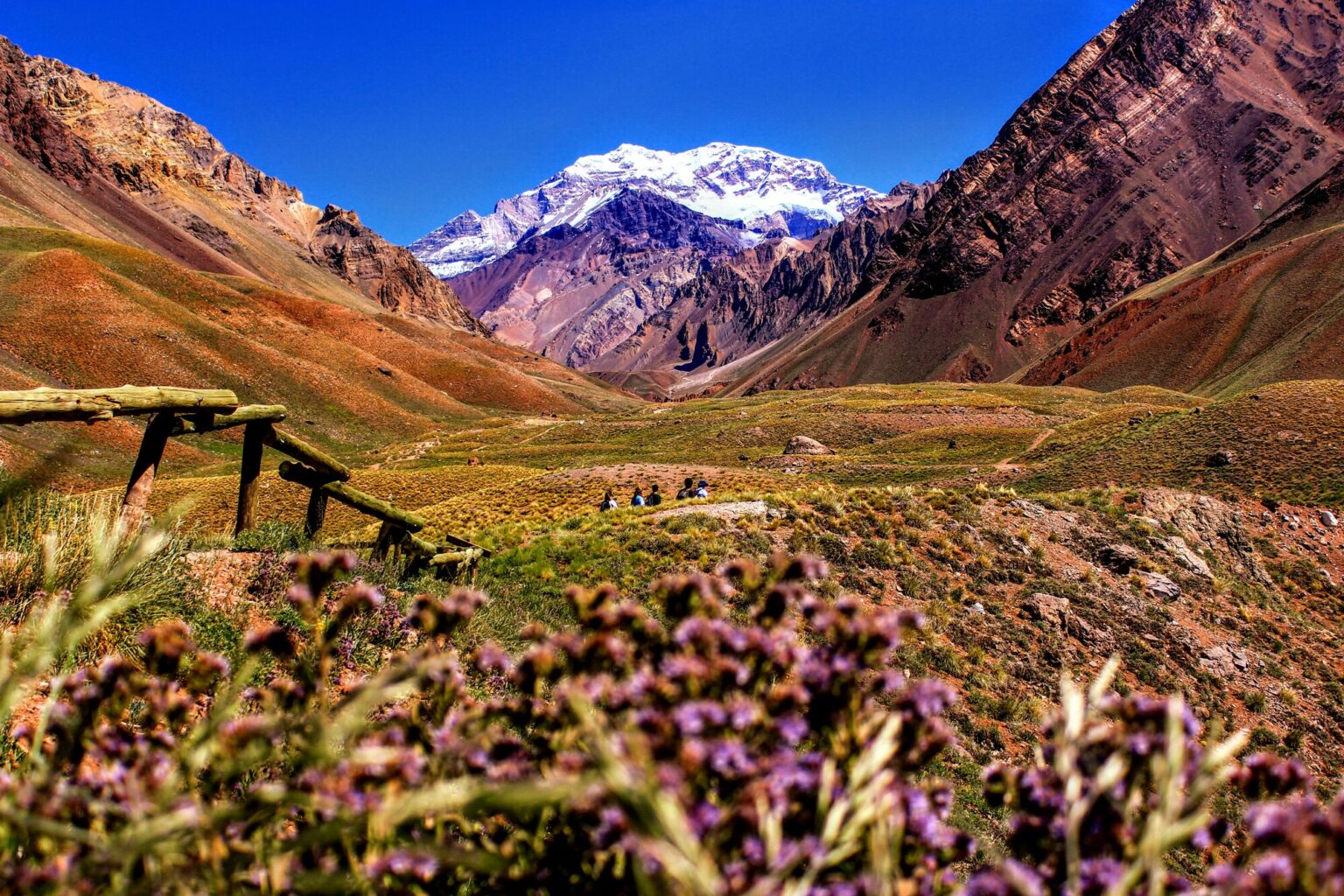Global Palate Adventures - Global Palate Adventures